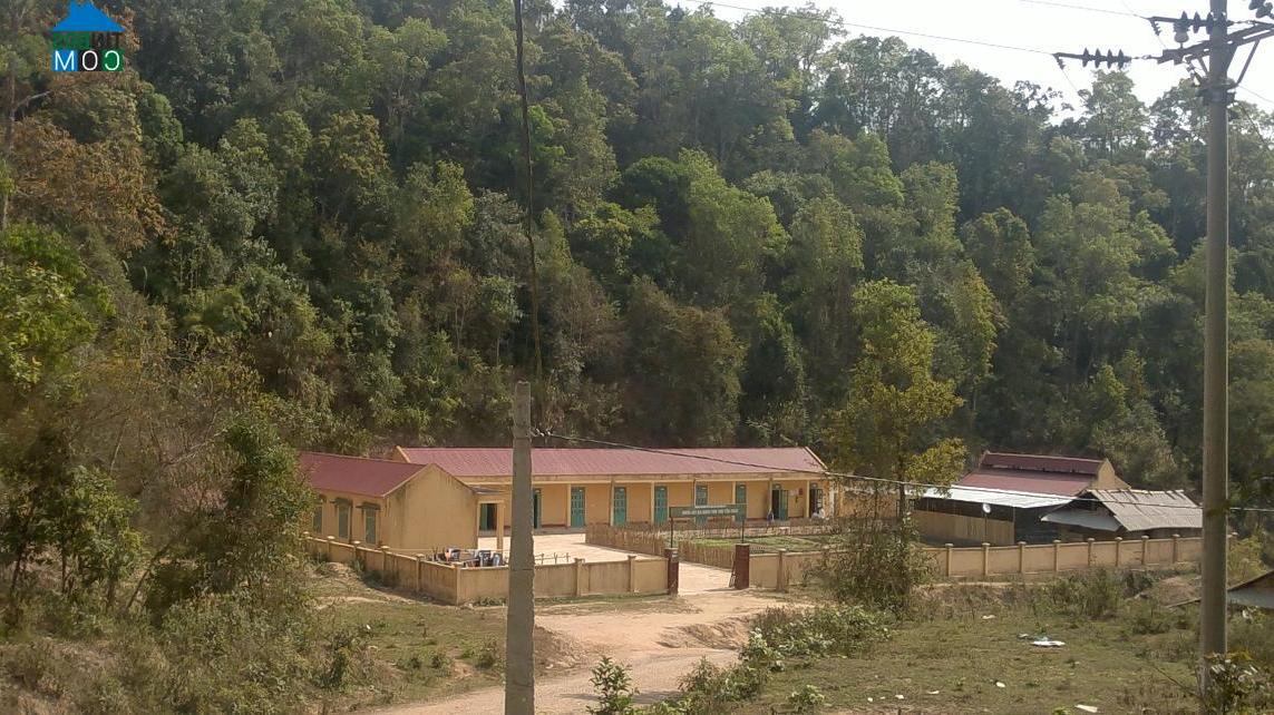 Xã Tìa Dình, Tỉnh Điện Biên- Xa Tia Dinh, Tinh Dien Bien